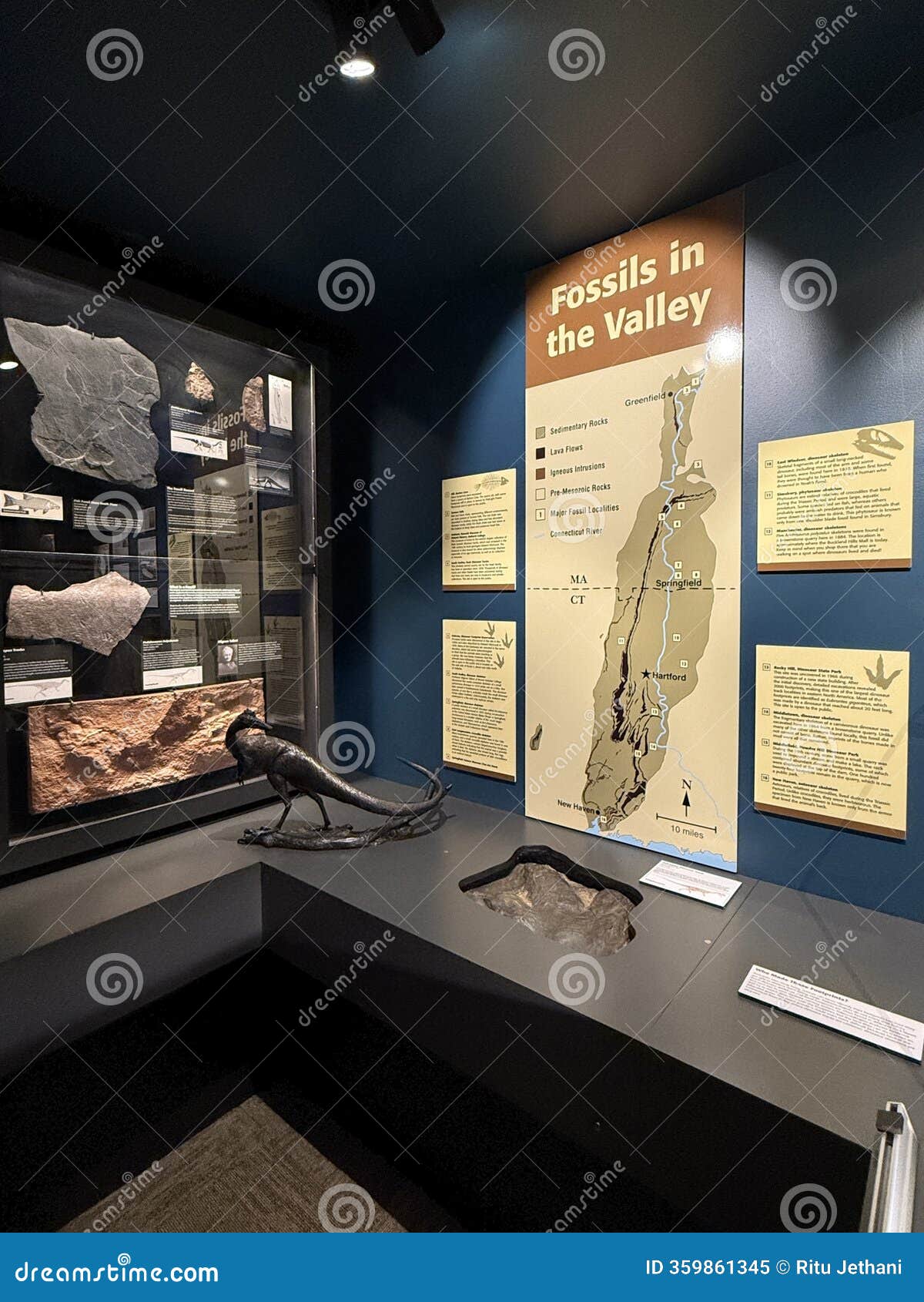 Dinosaur Hall at the Springfield Science Museum in Massachusetts ...