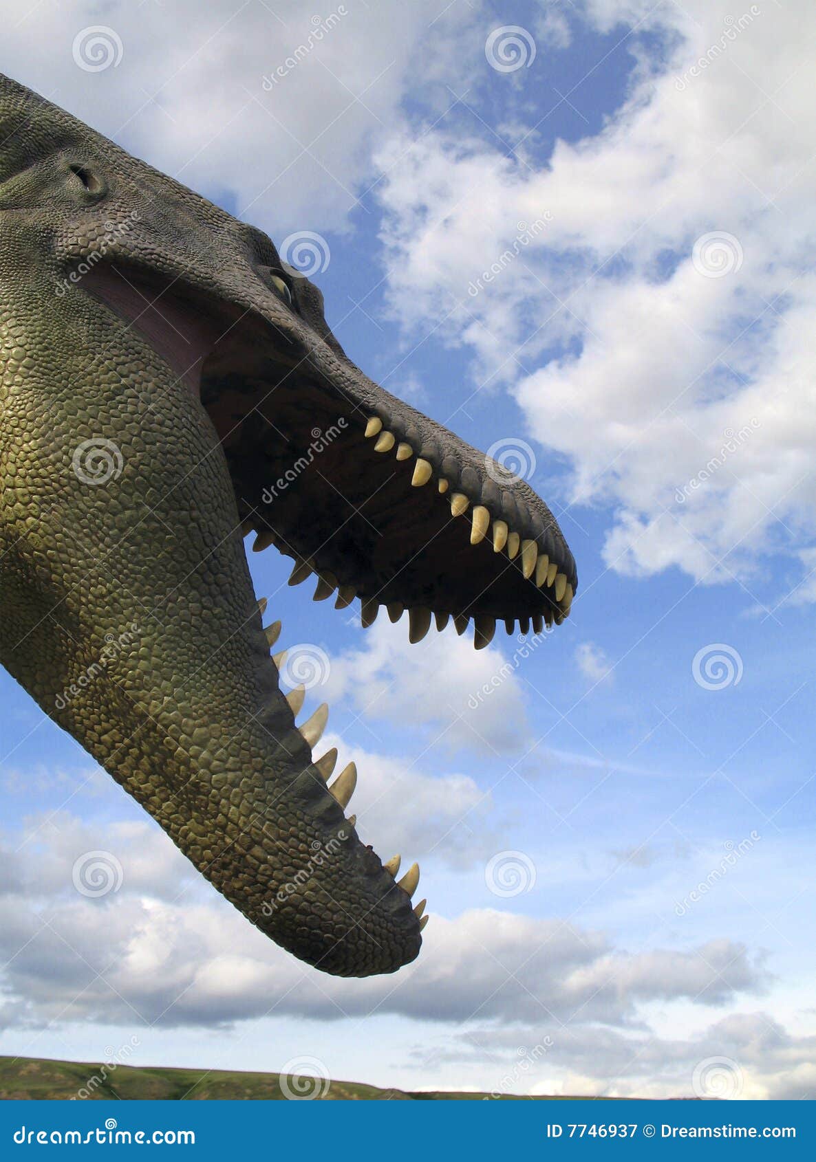 Dinosaur head stock image. Image of drumheller, jaws, dinosaur - 7746937