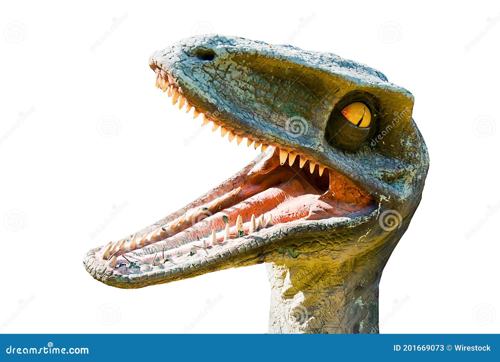 Dinosaur Head Isolated on White Background Stock Image - Image of body ...