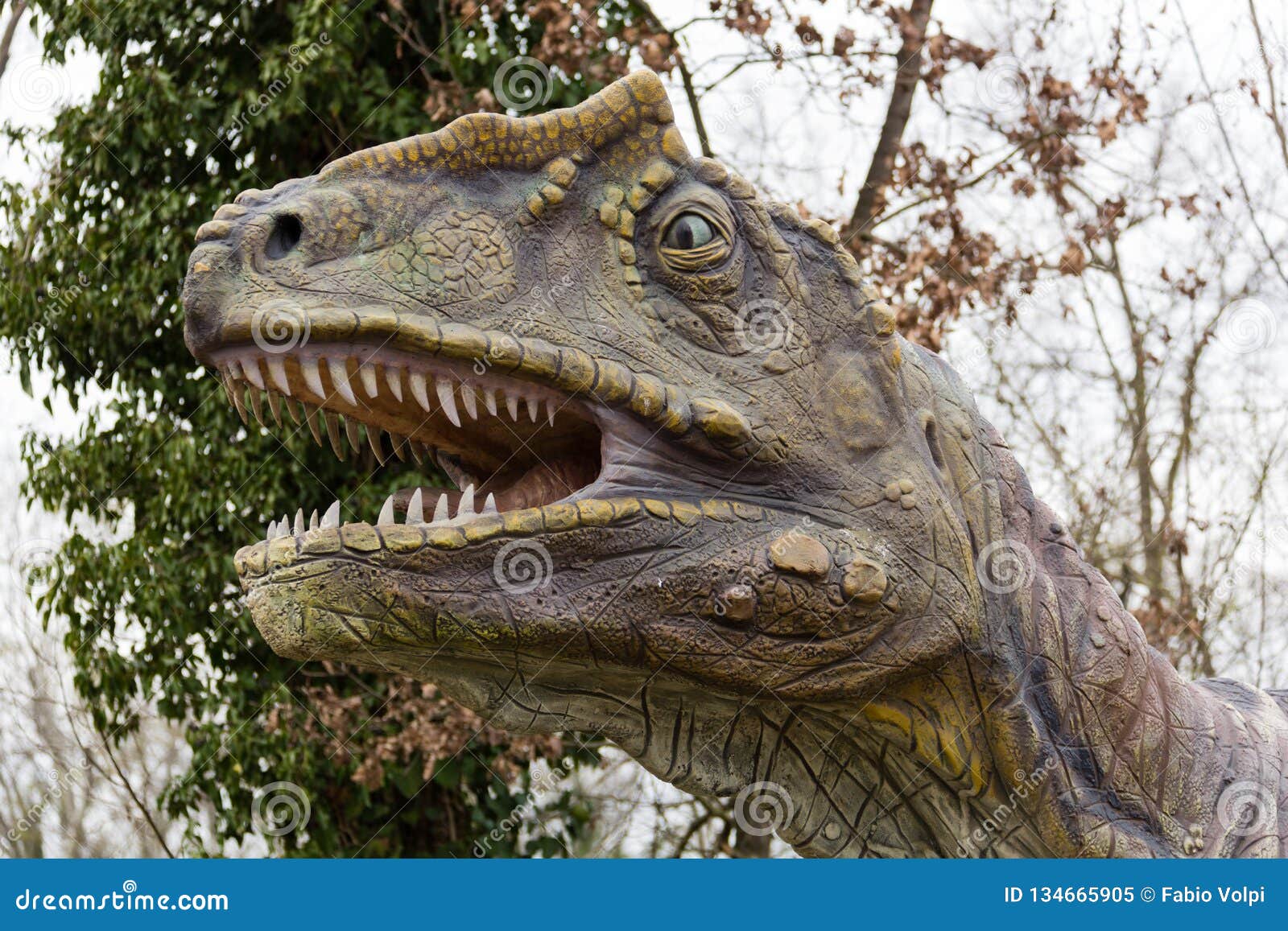 Dinosaur head 4 editorial image. Image of giant, dinosaur - 134665905