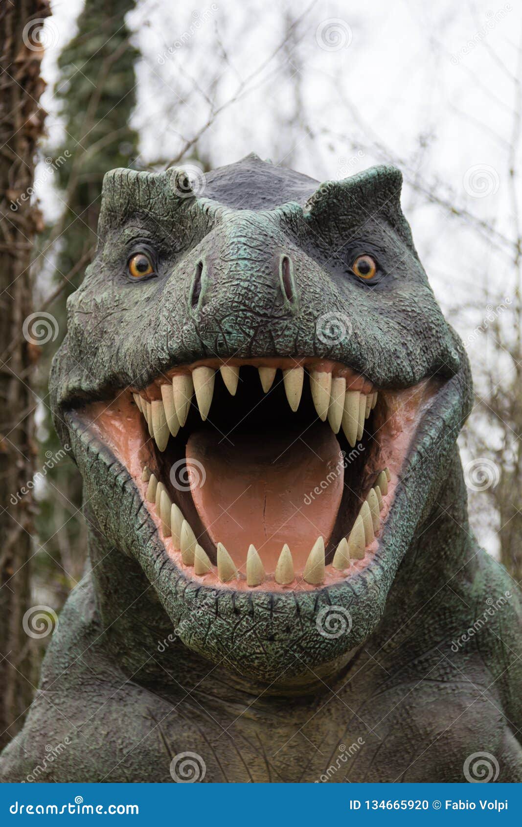 Dinosaur head 5 editorial image. Image of nature, forest - 134665920