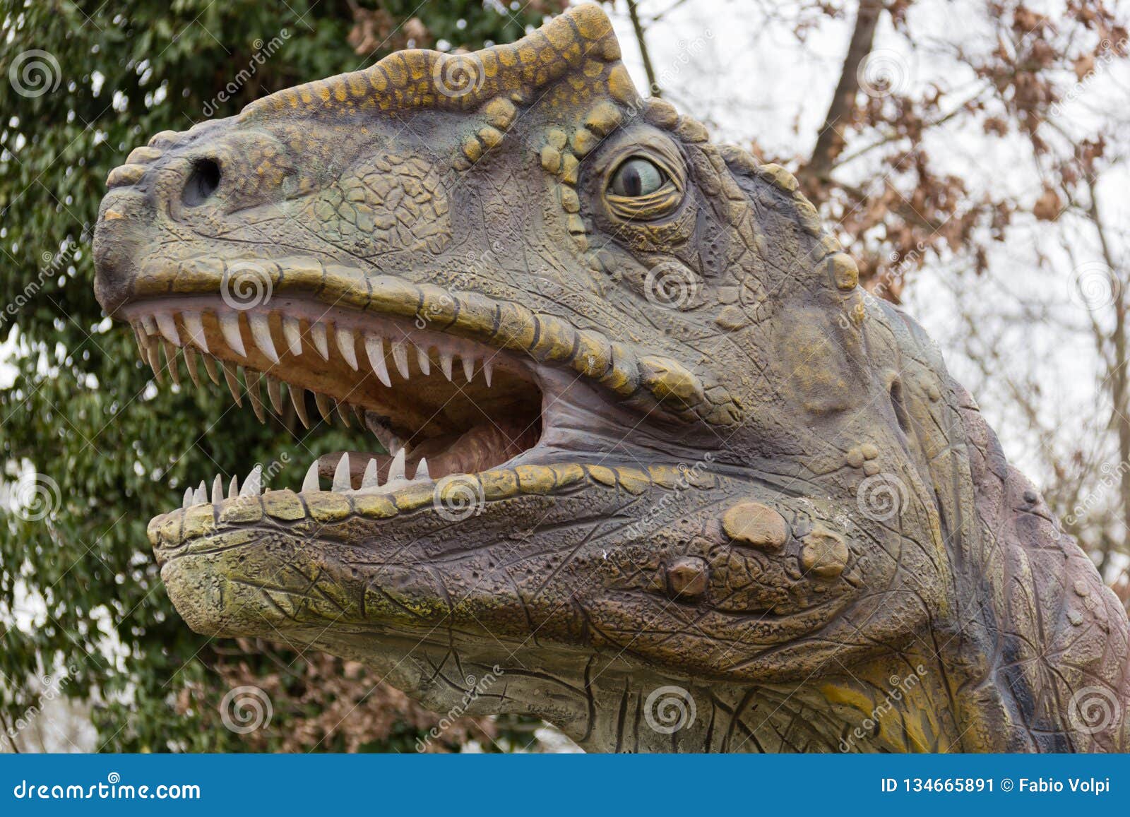 Dinosaur head 3 editorial photo. Image of prehistoric - 134665891