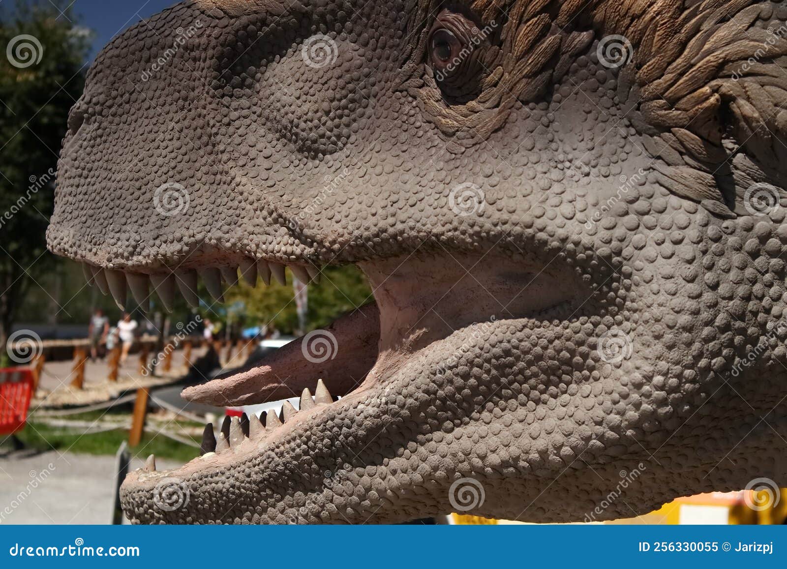 Dinosaur Head with Sharp Teeth. Stock Image - Image of clothing ...