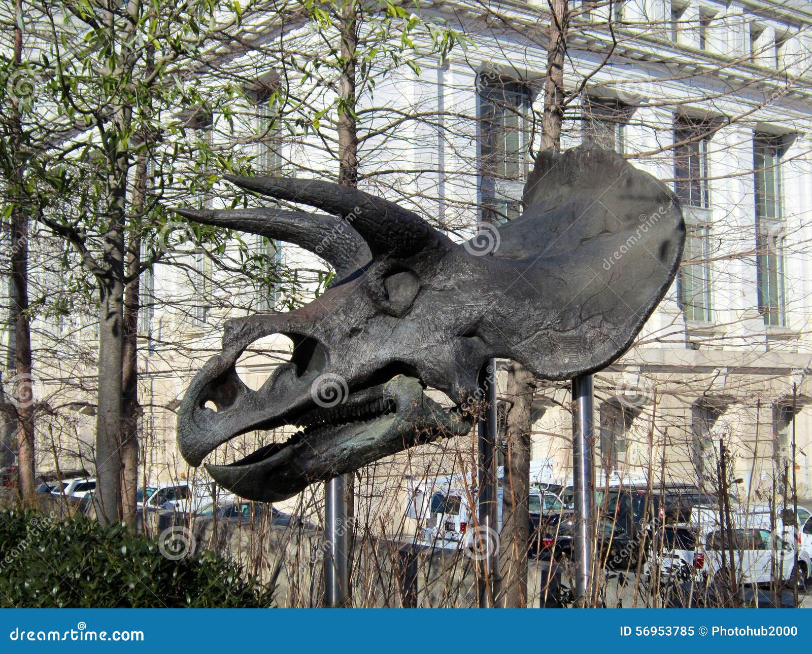 Dinosaur Head editorial image. Image of america, science - 56953785