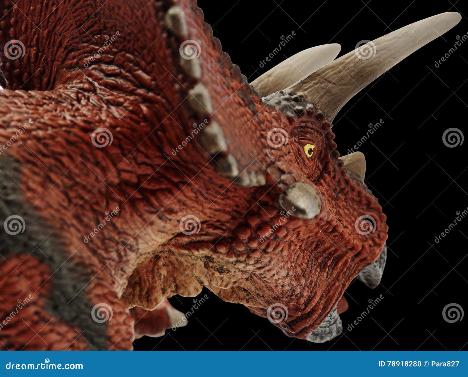 Dinosaur stock photo. Image of fear, angry, dinosaur - 78918280