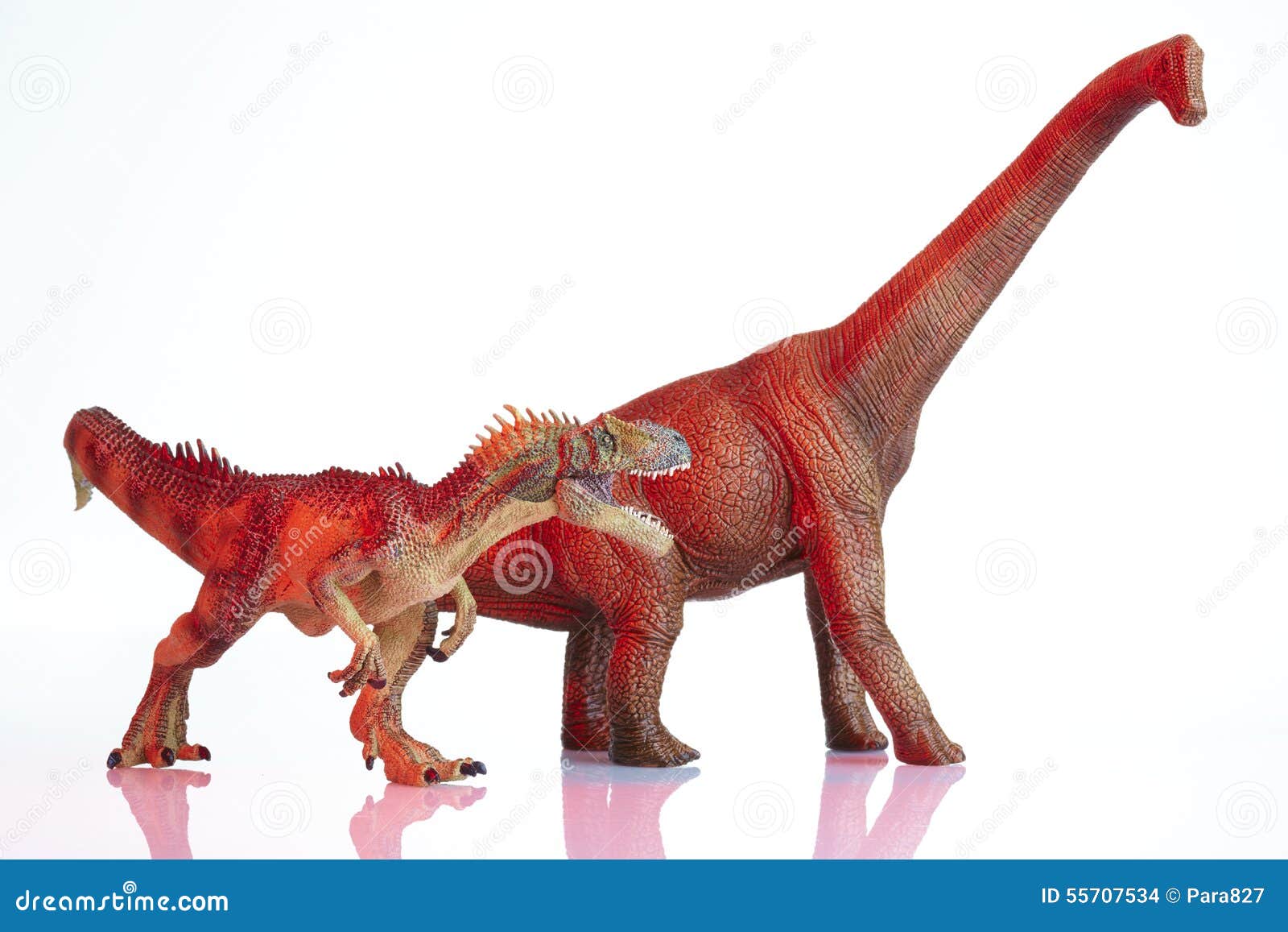 Dinosaur stock photo. Image of angry, fear, dinosaur - 55707534