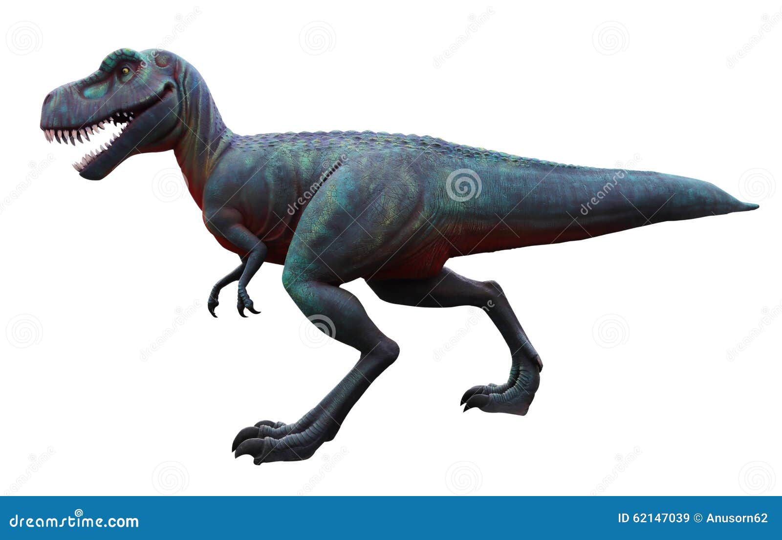 Dinosaur isolated stock image. Image of restoration, scary - 62147039