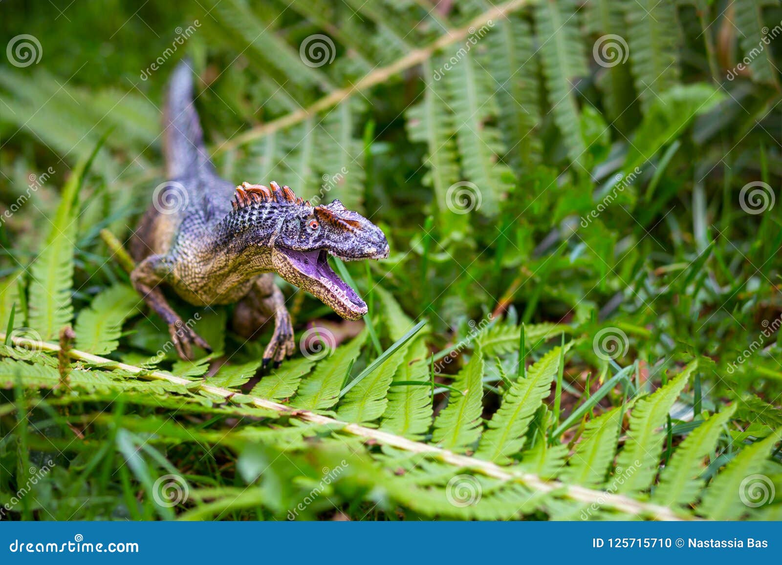 Dinosaur in the Jungle Background Stock Photo - Image of animal, jungle ...