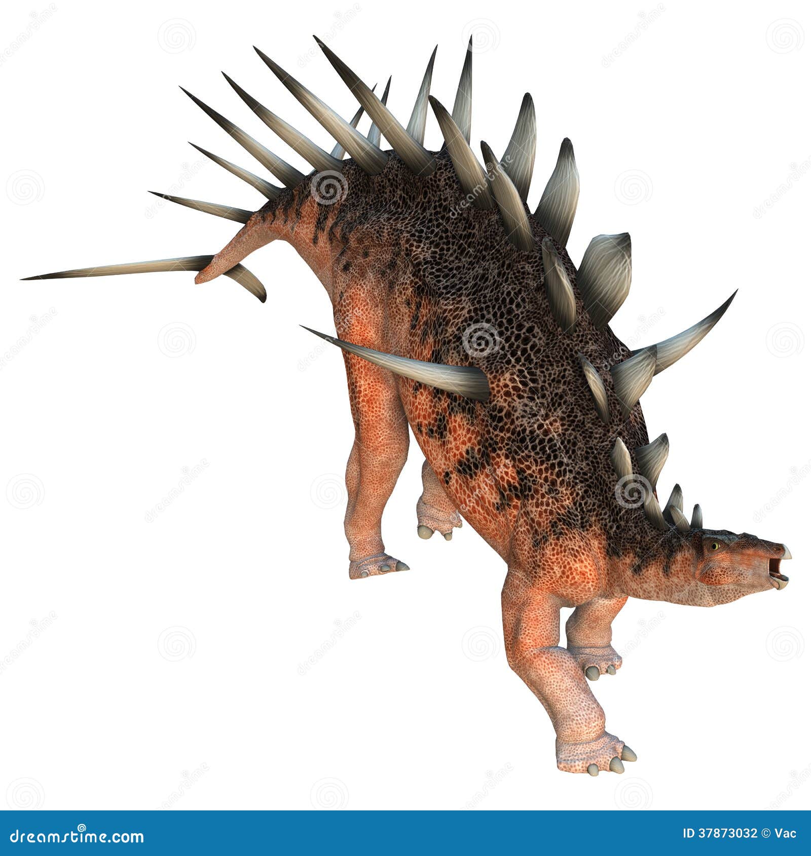 Kentrosaurus Dinosaur
