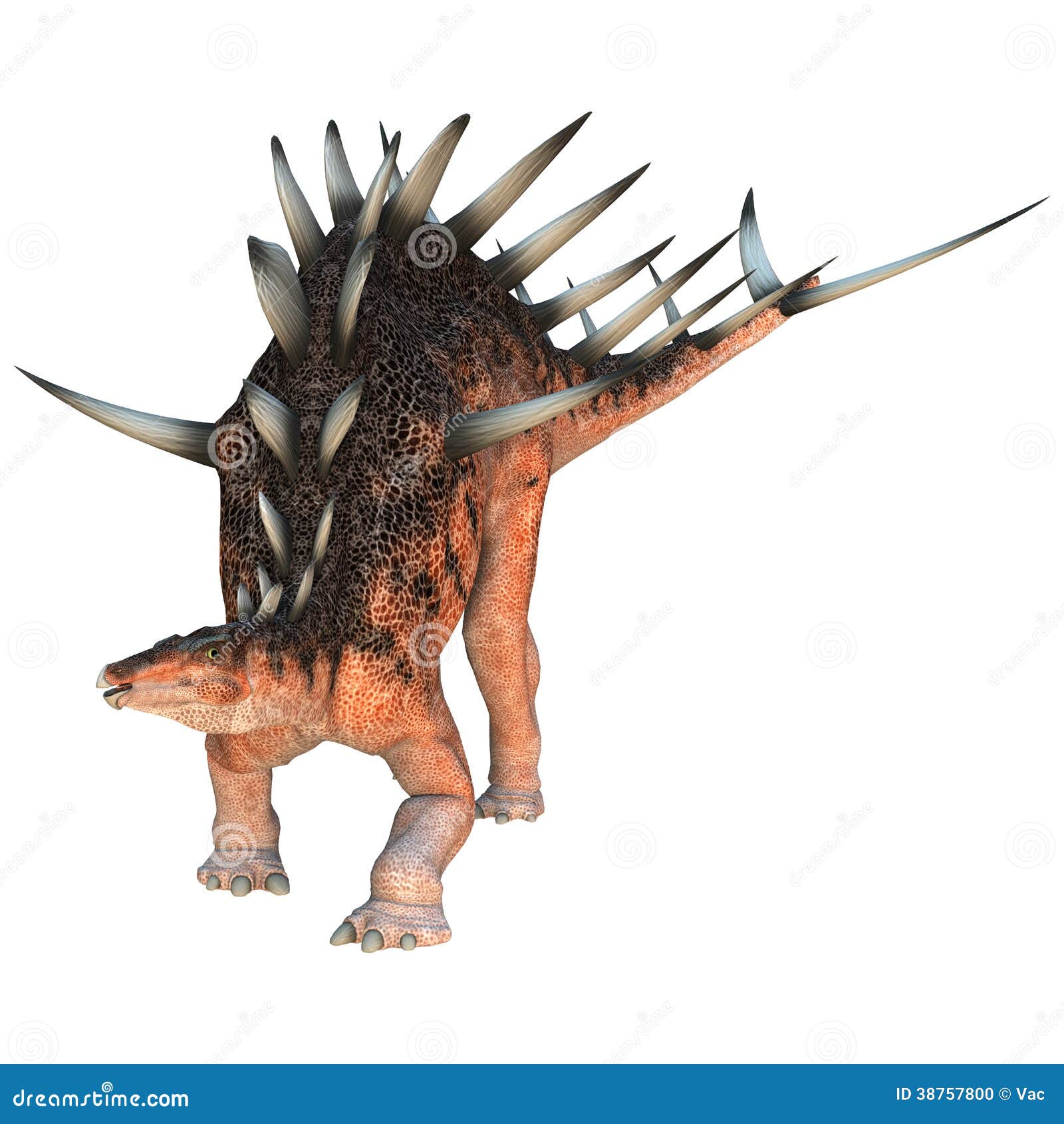 Dinosaur Kentrosaurus stock illustration. Illustration of late - 38757800
