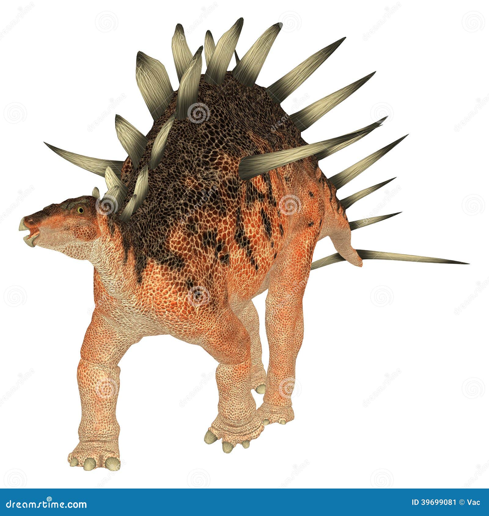 Kentrosaurus Dinosaur