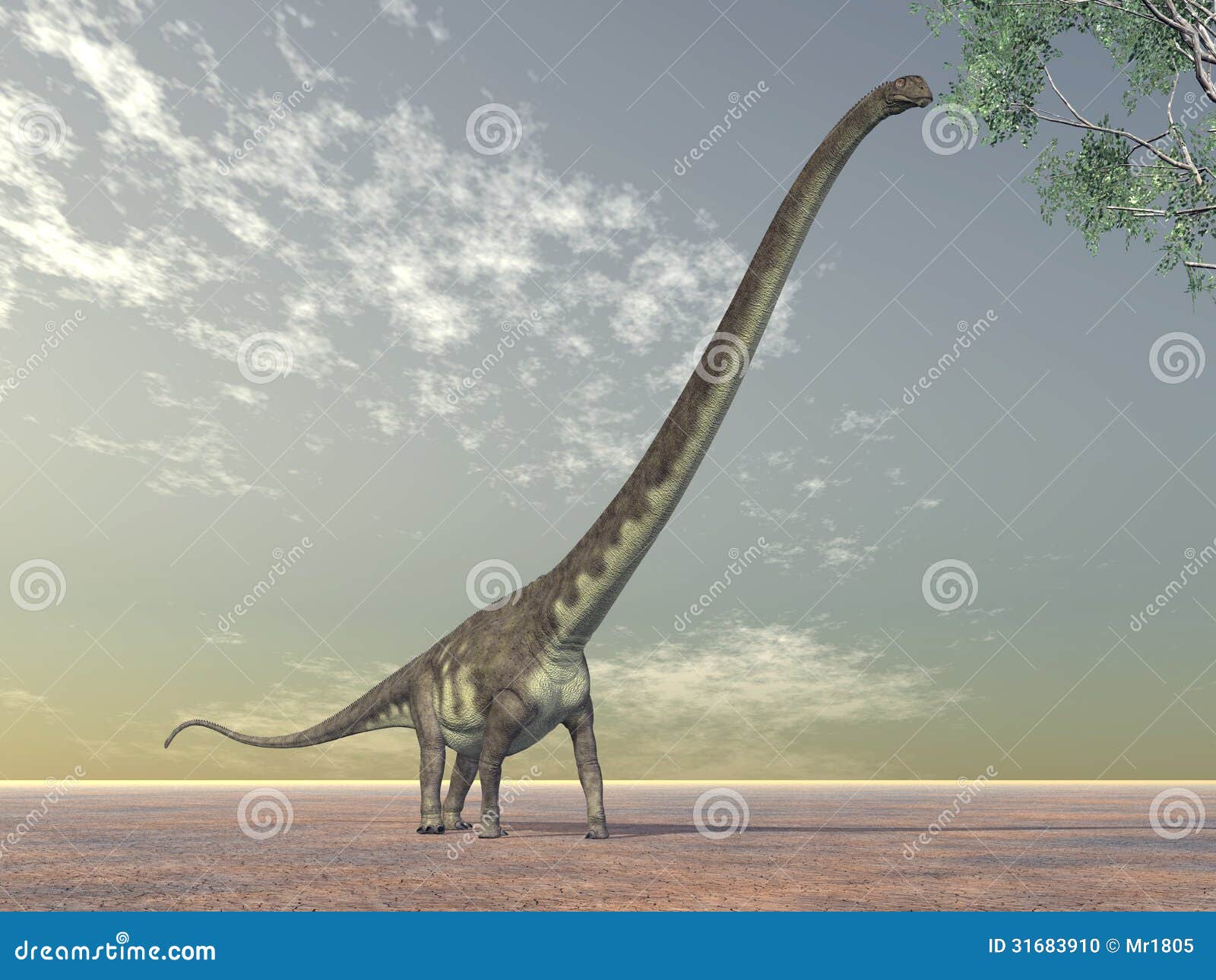 Dinosaur Mamenchisaurus stock illustration. Illustration of desert ...