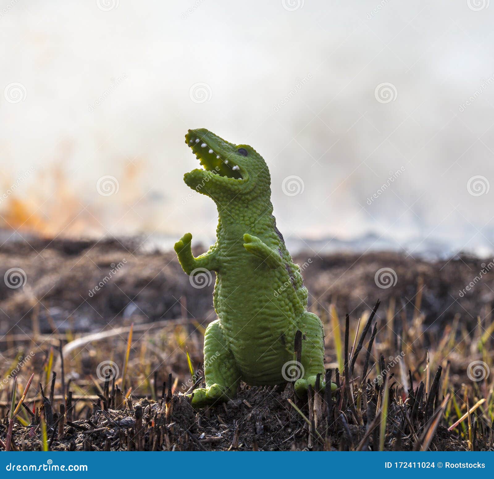 Dinosaur Model in the Burning Field Stock Photo - Image of body, dragon ...