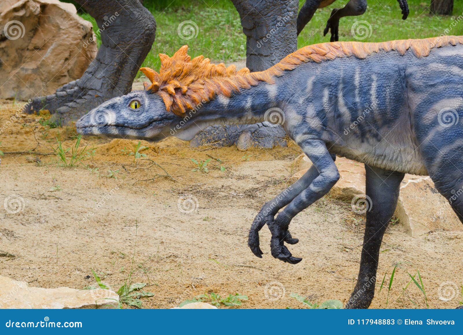 Dinosaur Model Troodon in Dinosaur Park Stock Image - Image of closeup ...