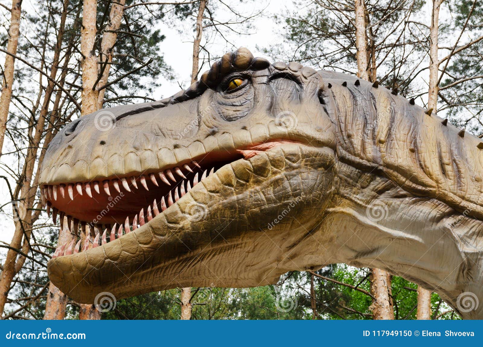 Dinosaur Model Tyrannosaurus Rex in Dinosaur Park Editorial Image ...