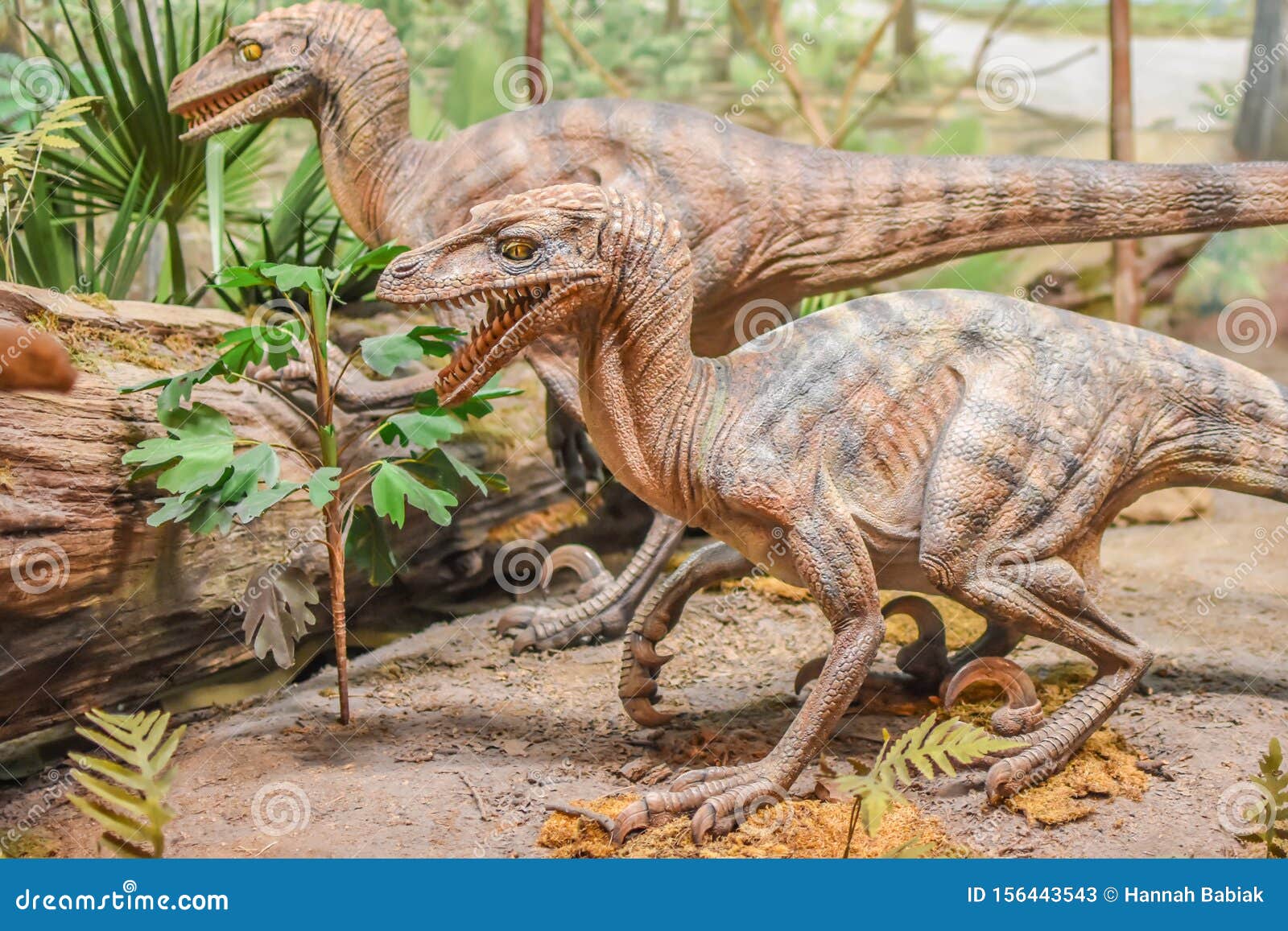 Dinosaur Models at Milwaukee Public Museum Editorial Stock Photo ...