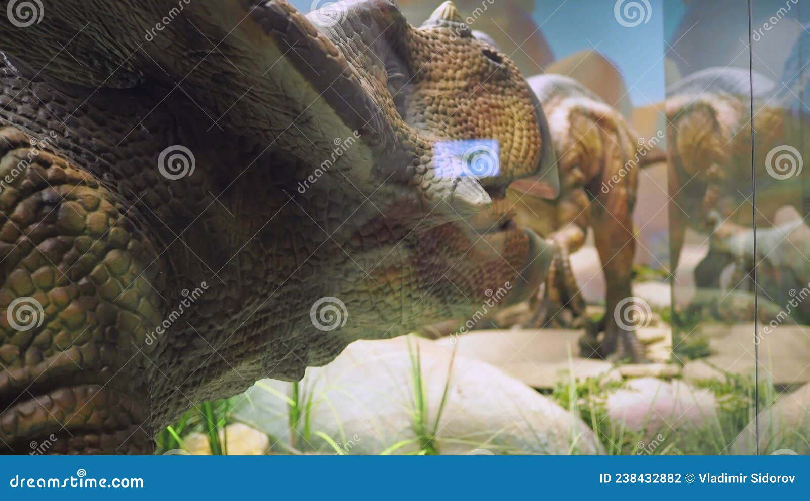 Dinosaur Models Move and Wave Their Heads. Natural Models of Ancient ...