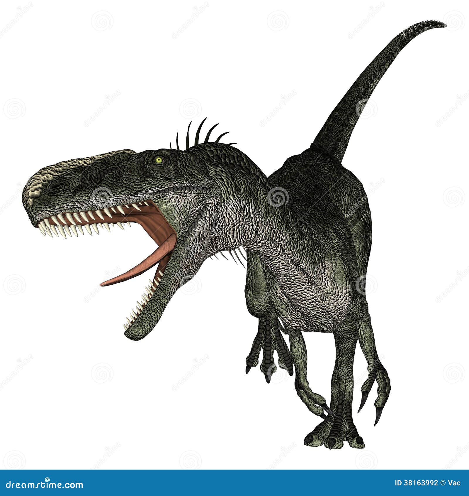 Dinosaur Monolophosaurus stock illustration. Illustration of ...