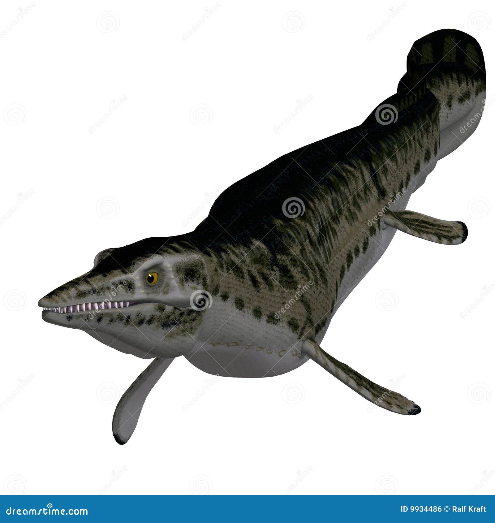 Dinosaur Mosasaur stock illustration. Illustration of dinosaur - 9934486