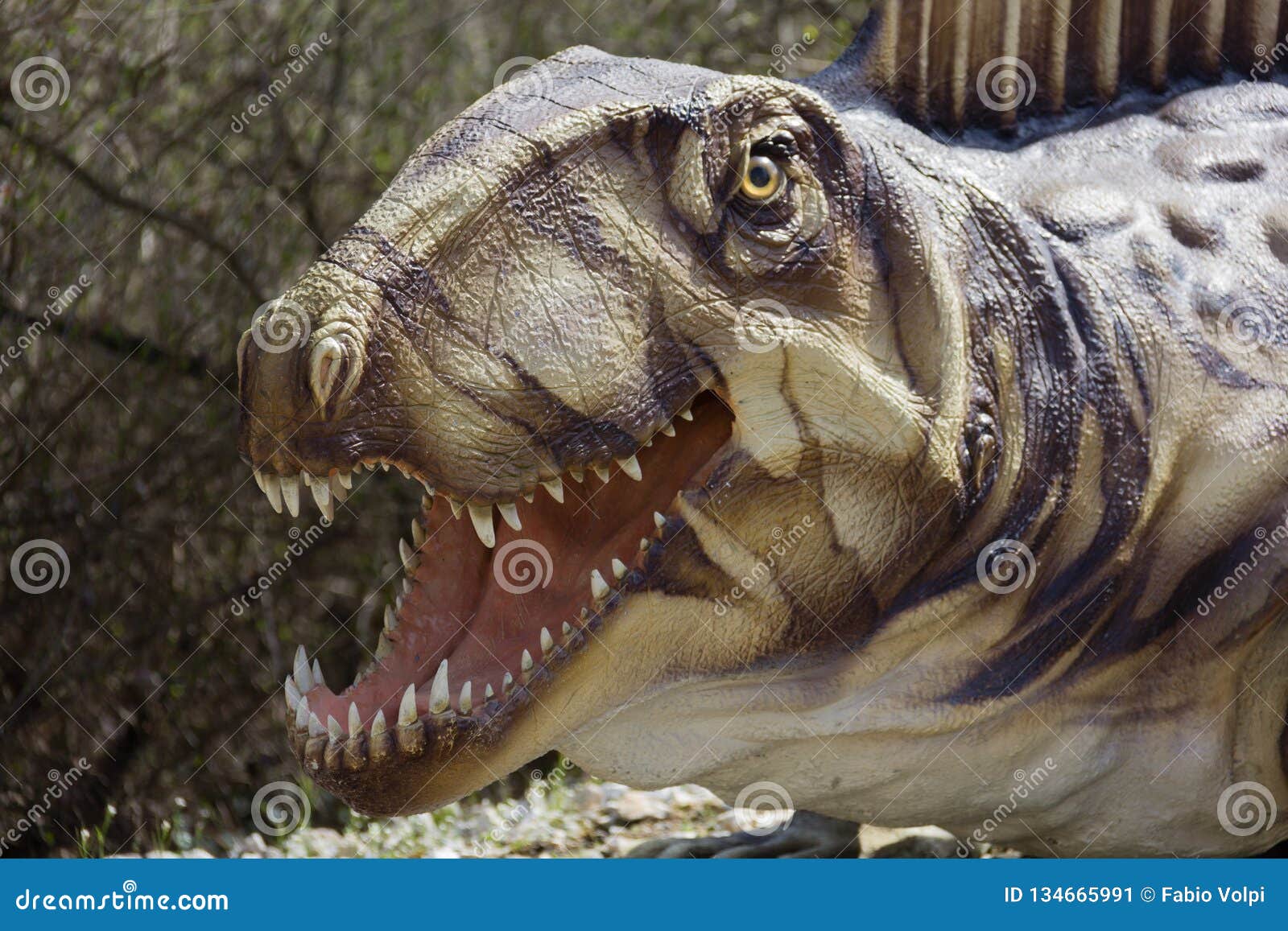 Dinosaur Mouth With Sharp Teeth. Insert A Hole In The Middle Of The ...