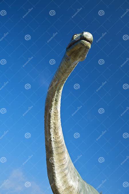 Dinosaur neck stock image. Image of neck, country, park - 8417149