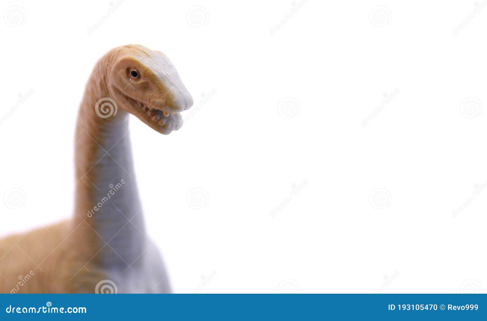 Dinosaur neck and head stock photo. Image of background - 193105470