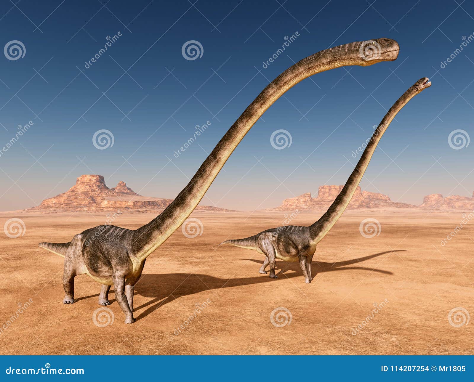 Dinosaur Omeisaurus in the Desert Stock Illustration - Illustration of ...