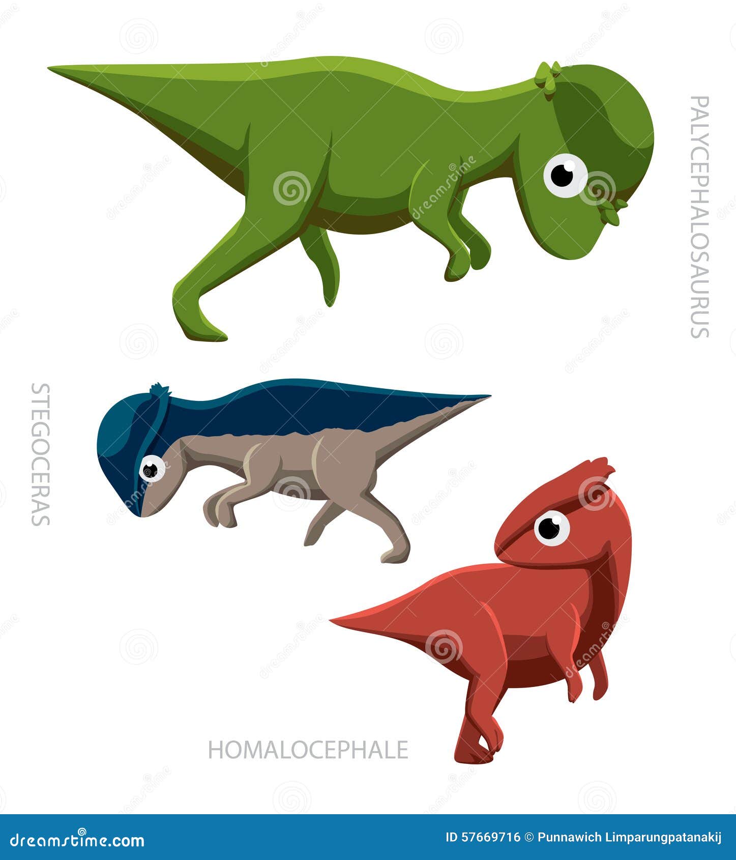 Dinosaur Pachycephalosaurs Vector Illustration Stock Vector ...
