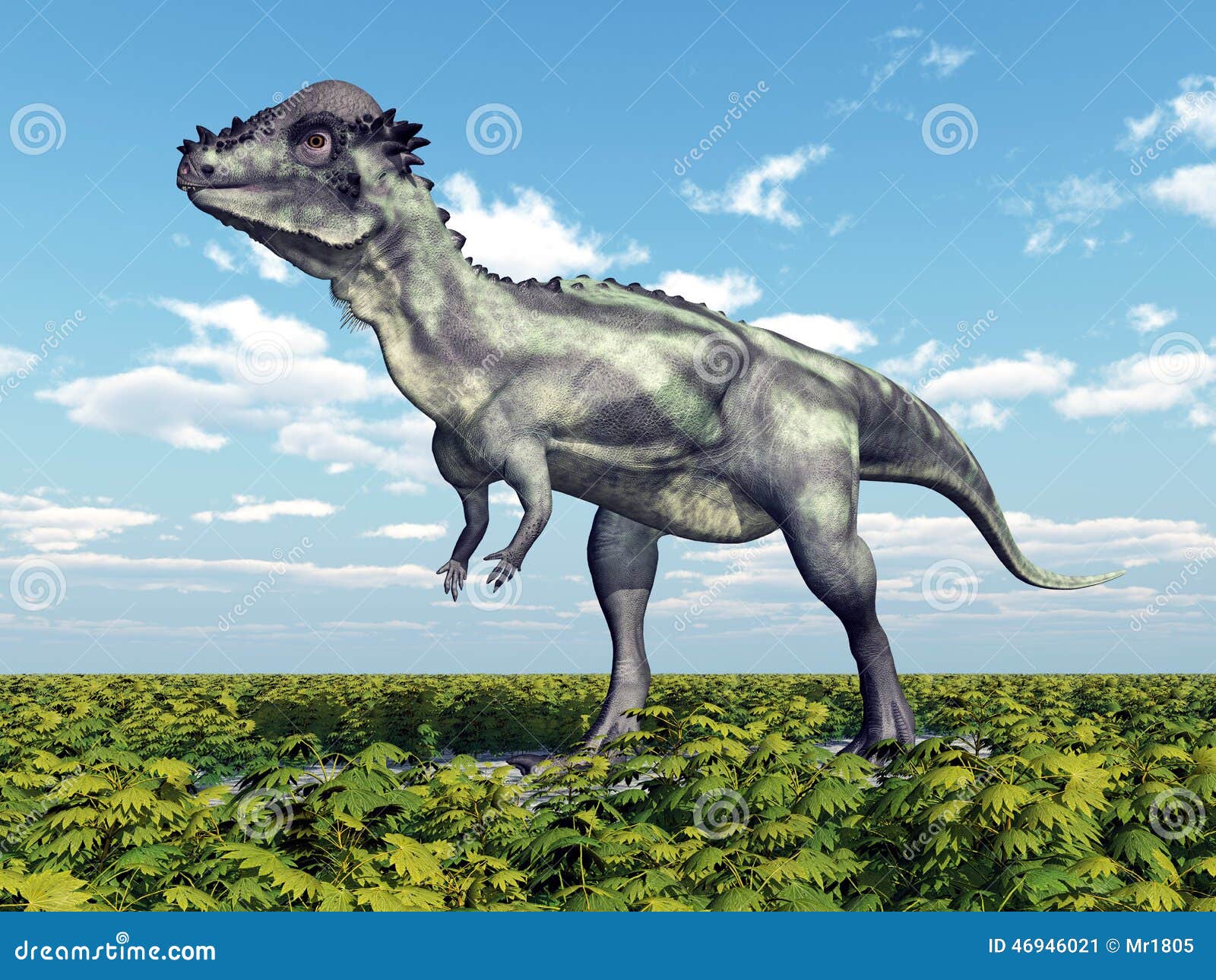 Dinosaur Pachycephalosaurus Stock Illustration - Illustration of plants ...