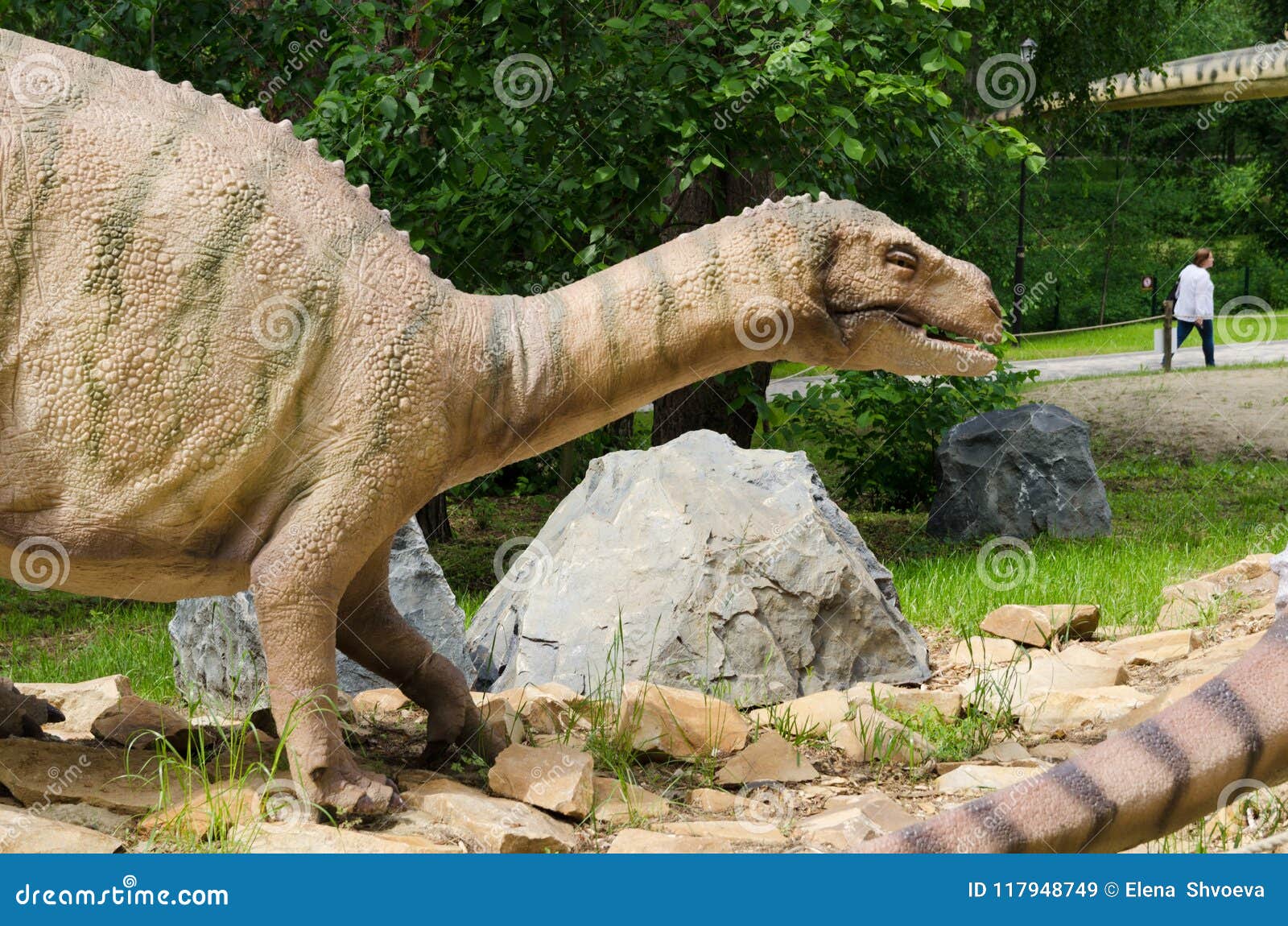 Dinosaur Park, Dinosaur Model Plateosaurus Editorial Stock Image ...