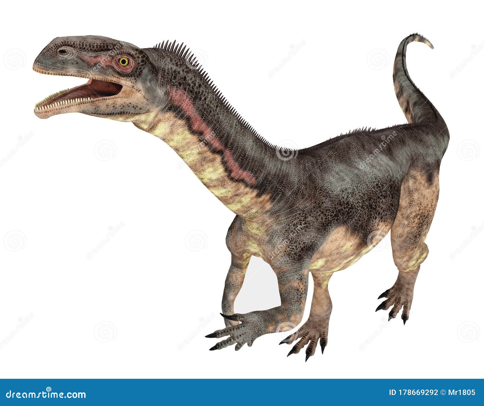 Dinosaur Plateosaurus Isolated on White Background Stock Illustration ...