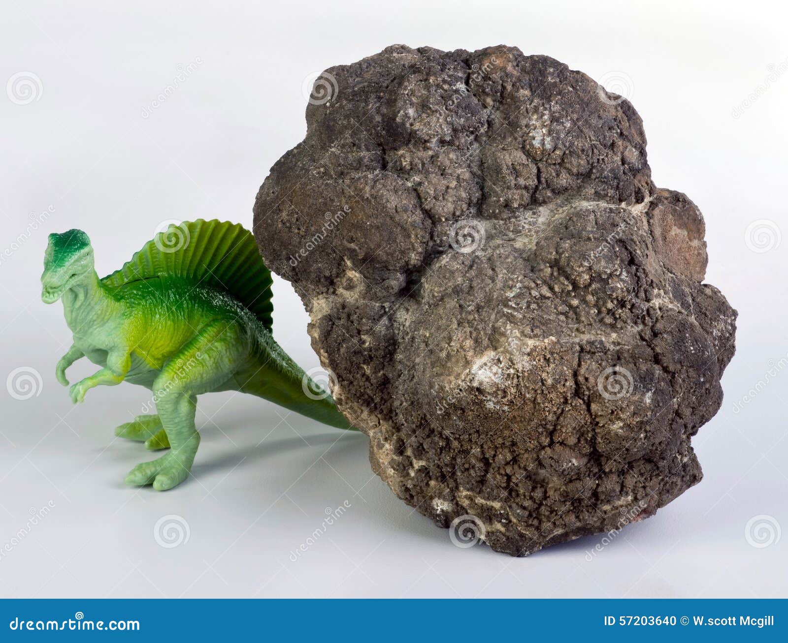 Dinosaur Poop. Stock Photo | CartoonDealer.com #57203640