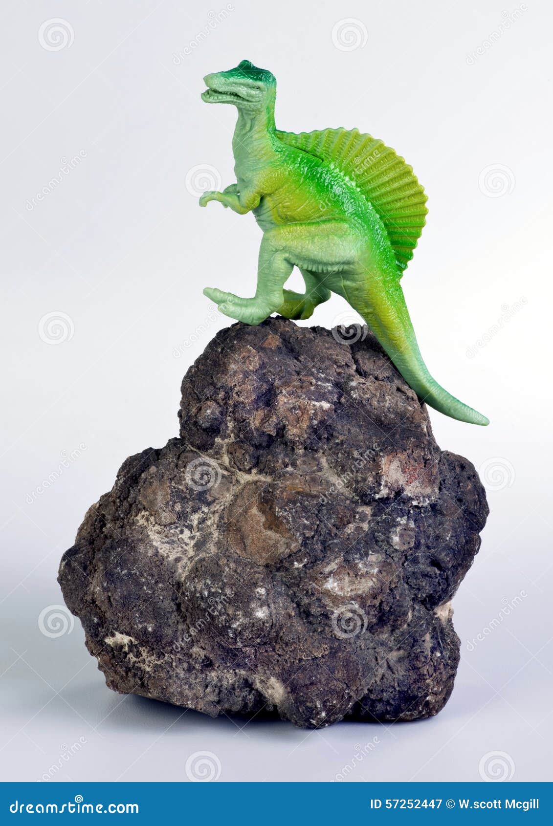 Dinosaur Poop. Stock Photo | CartoonDealer.com #57203640