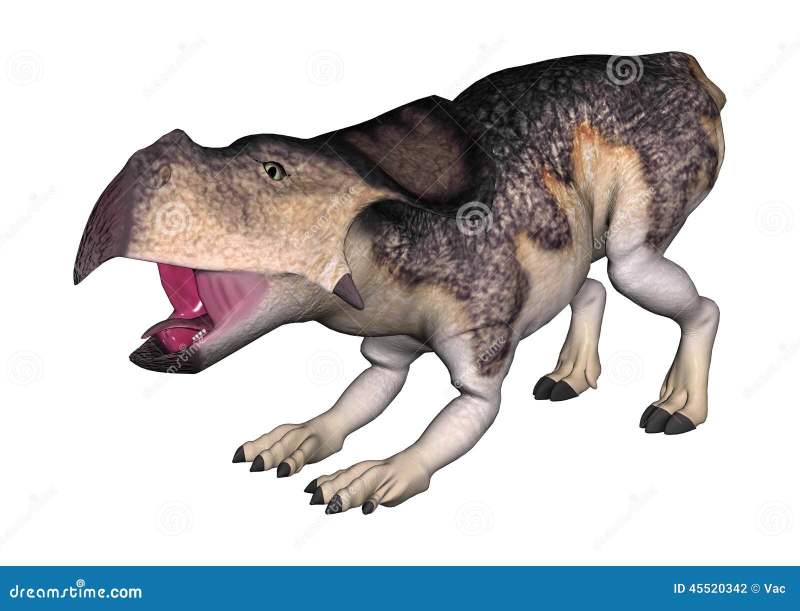 Dinosaur Protoceratops Royalty-Free Stock Image | CartoonDealer.com ...