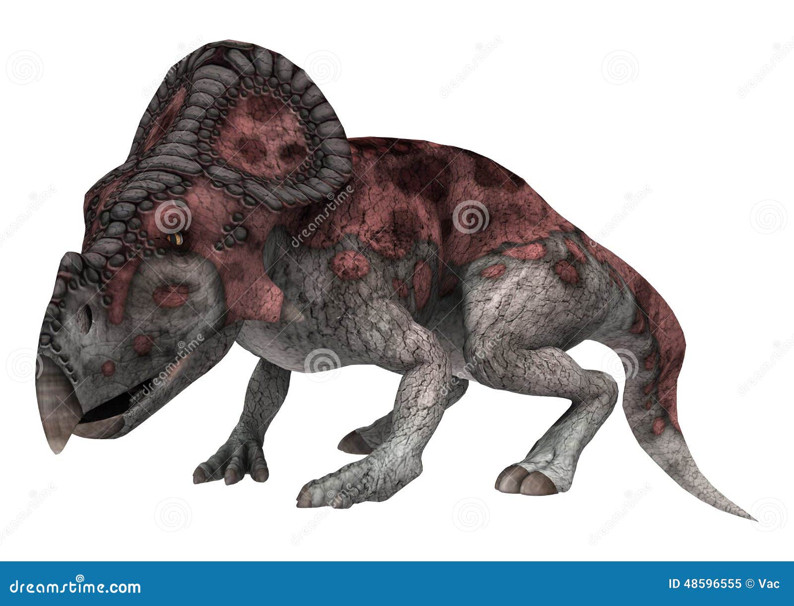 Dinosaur Protoceratops stock illustration. Illustration of monster ...