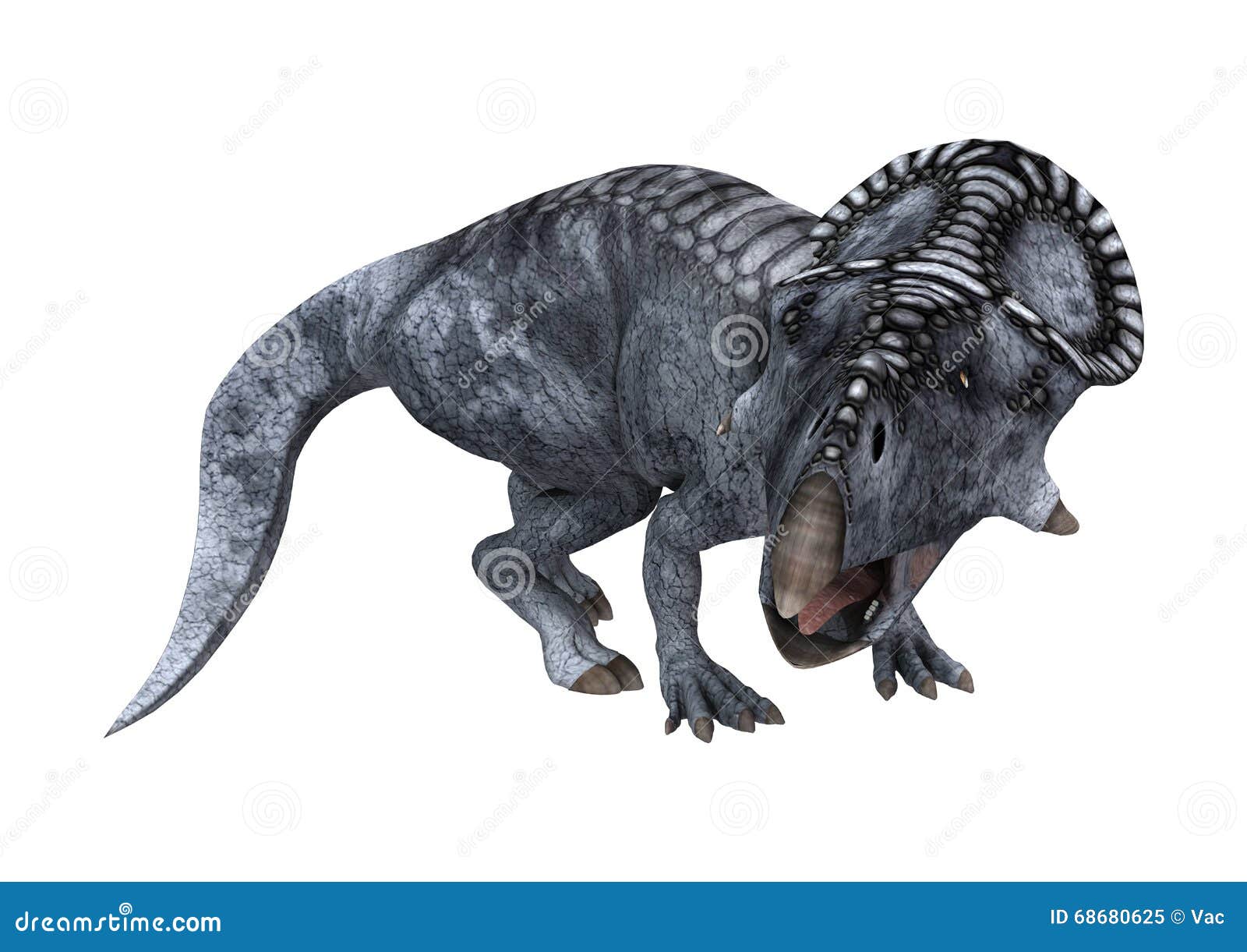 Dinosaur Protoceratops on White Stock Illustration - Illustration of ...