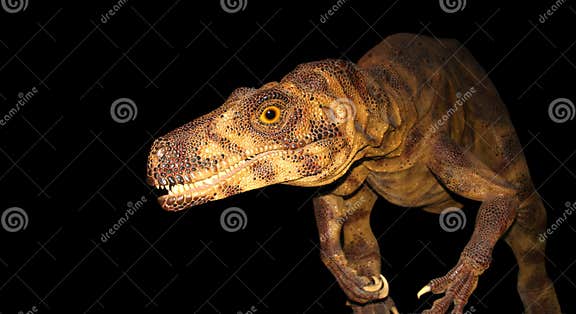 A Dinosaur on the Prowl stock photo. Image of eating, pebbled - 3117968