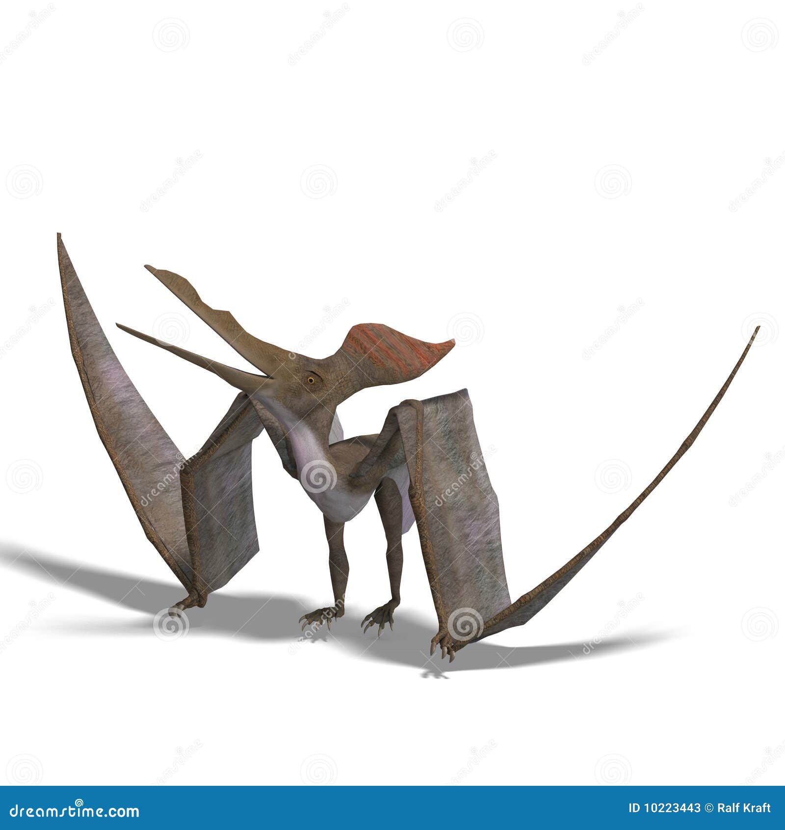 Dinosaur Pteranodon Picture. Image: 10223443