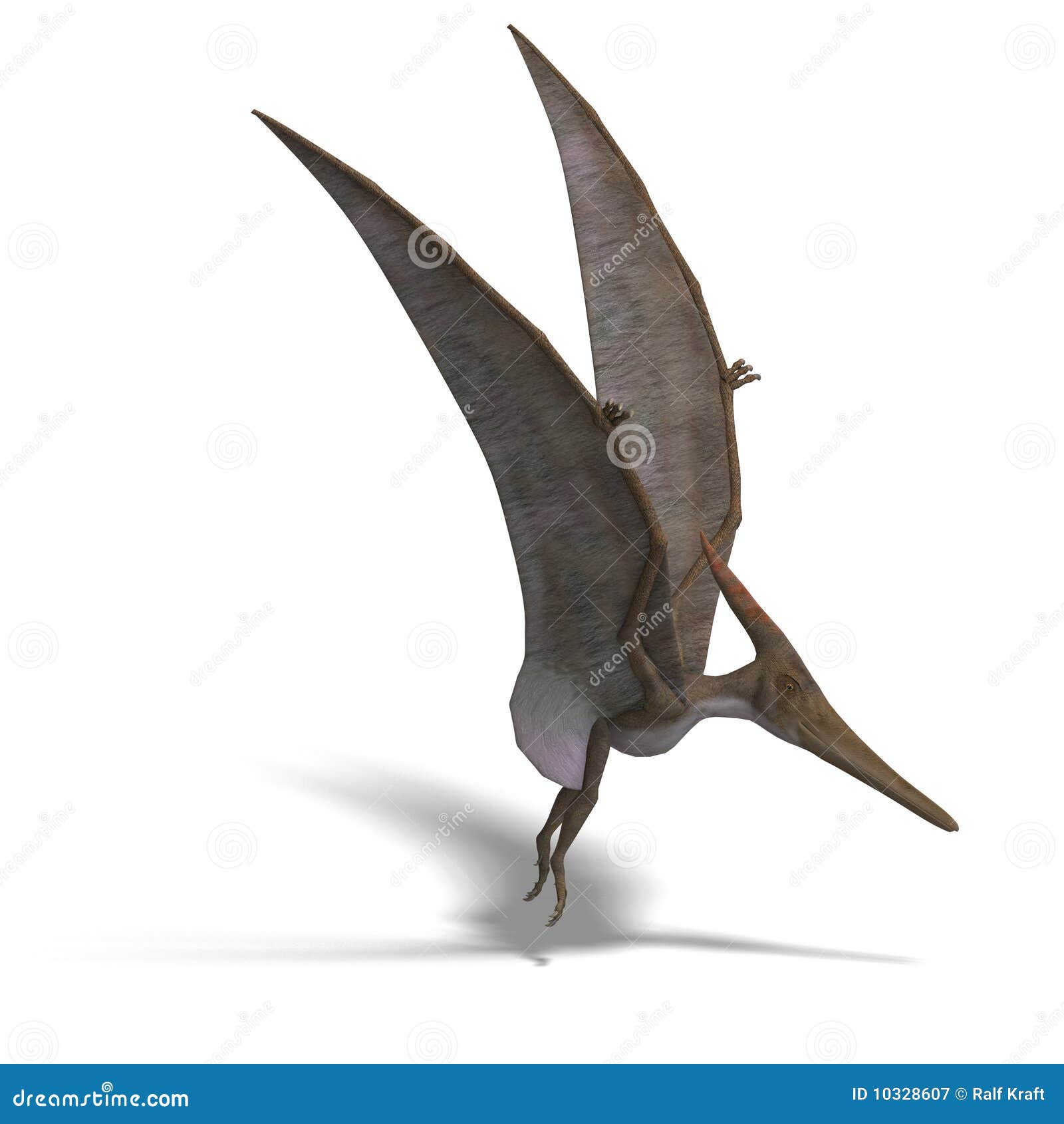 Dinosaur Pteranodon stock illustration. Illustration of colossal - 10328607