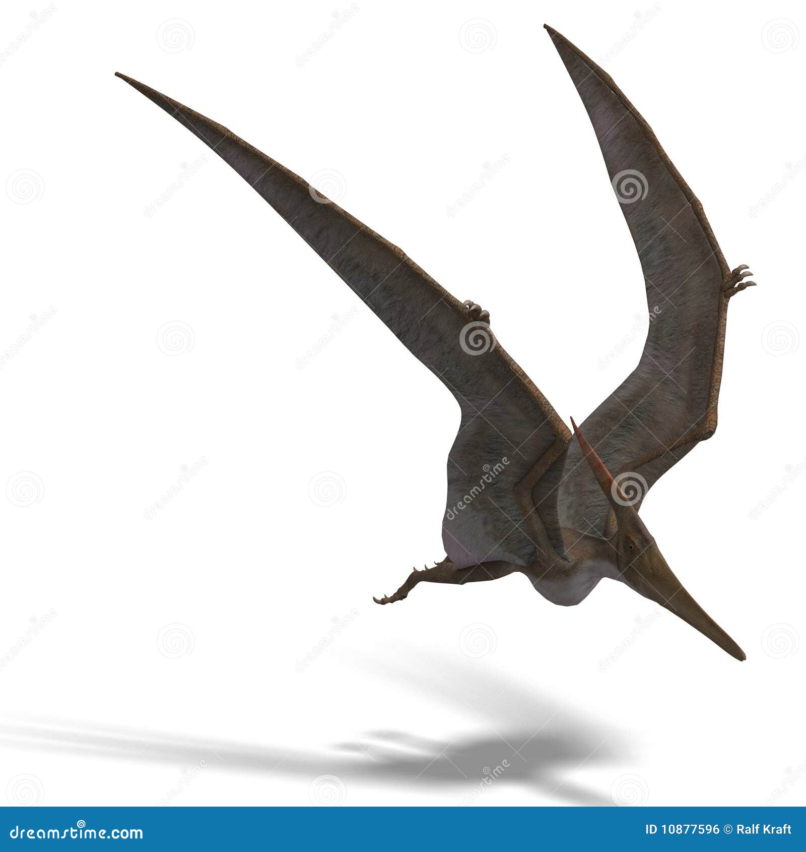Dinosaur Pteranodon stock illustration. Illustration of levitation ...