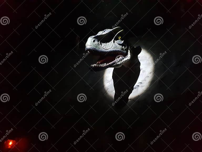 Raptor Shadow Light Wall Danger Stock Image - Image of raptor ...