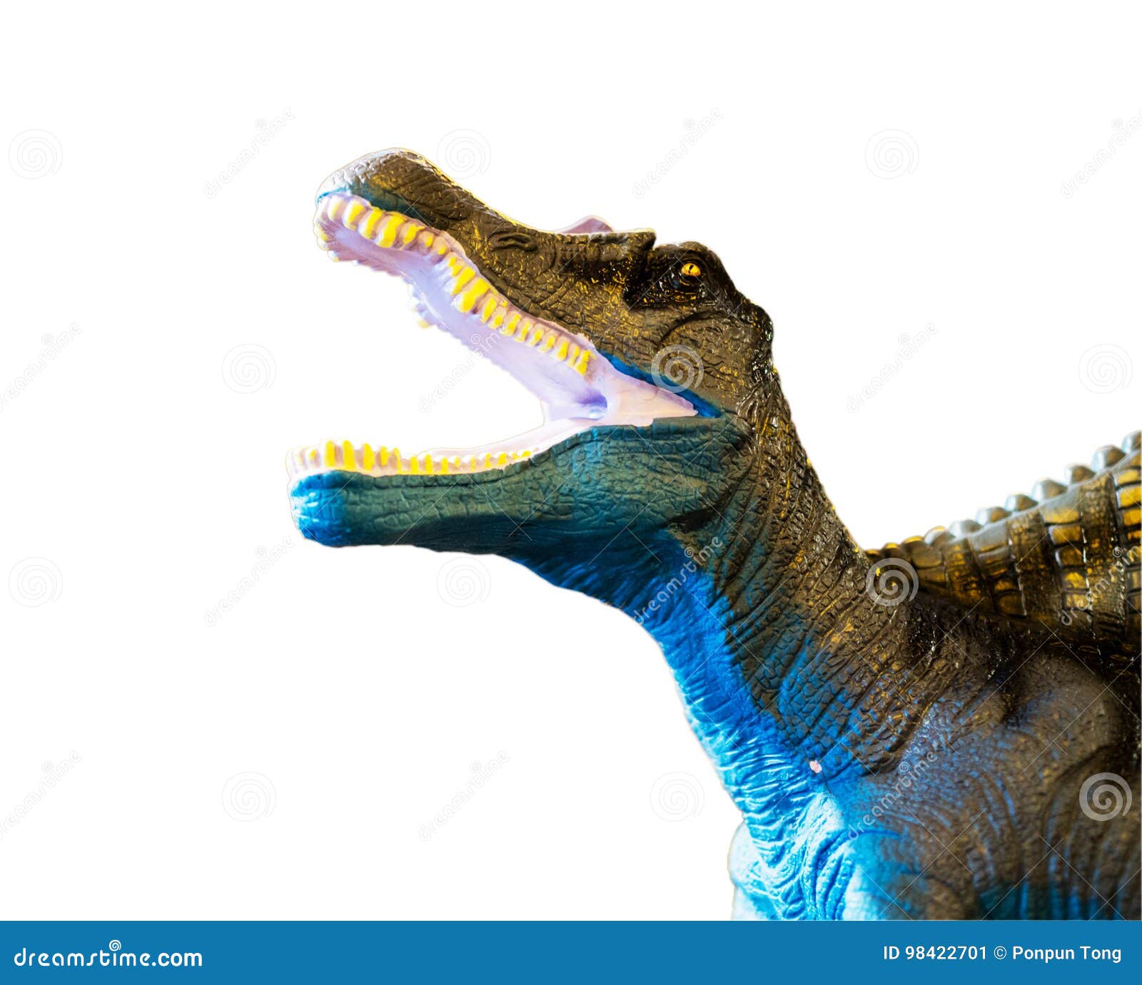 Dinosaur roaring stock image. Image of path, danger, nature - 98422701