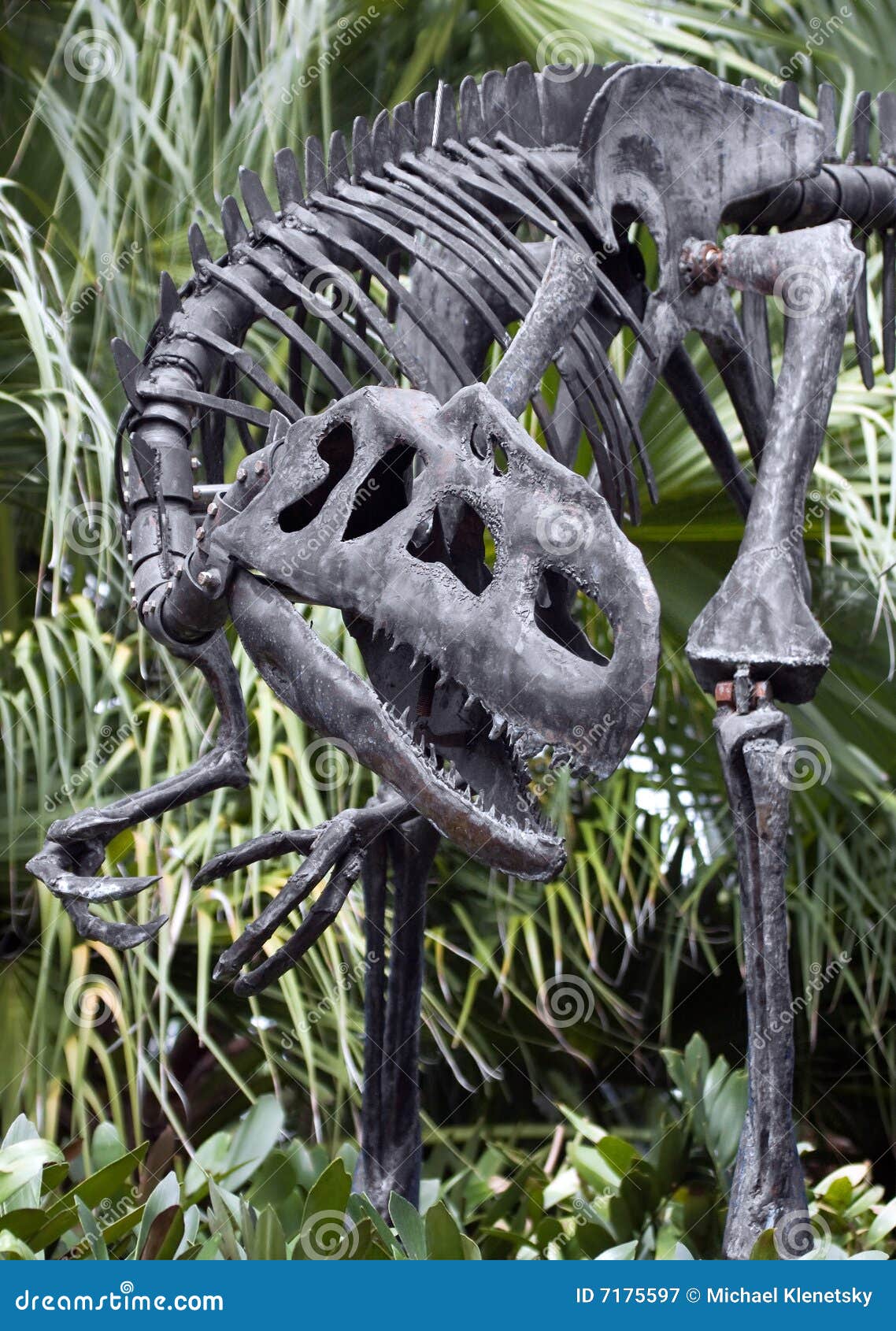 Dinosaur Skeleton editorial photography. Image of prehistoric - 7175597