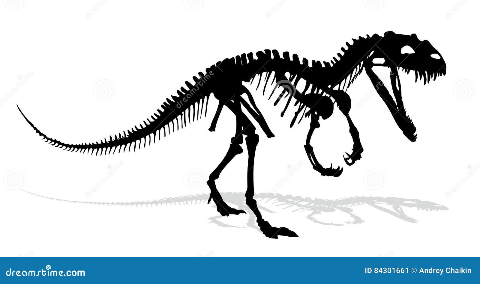 Dinosaur skeleton. stock vector. Illustration of skull - 84301661