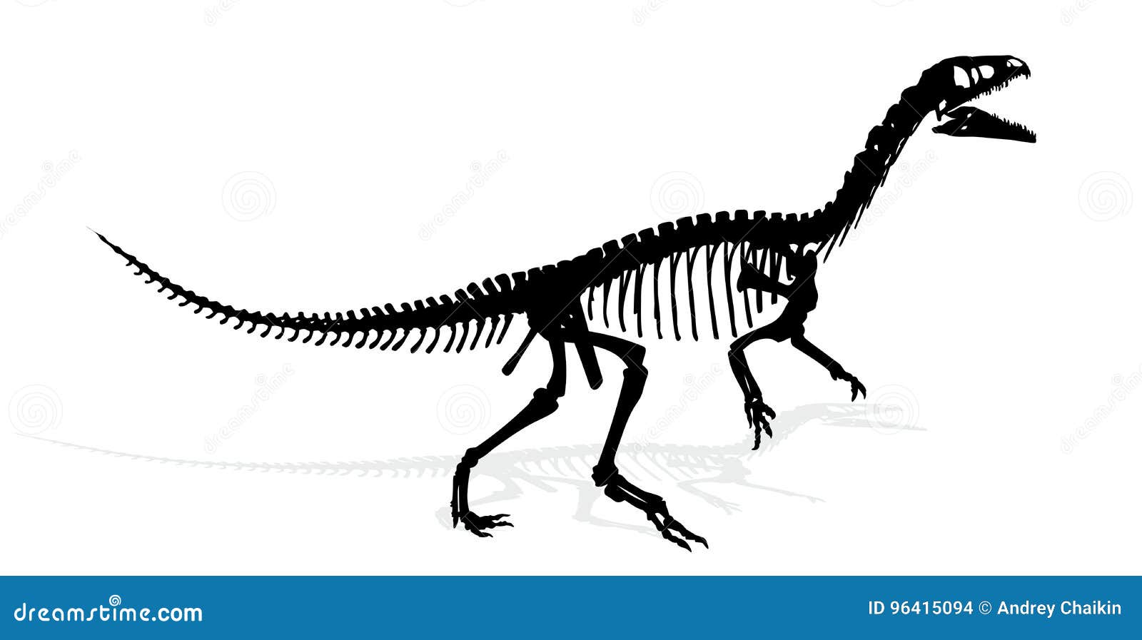 Dinosaur Skeleton And Map, Archeology And Paleontology Science Concept ...