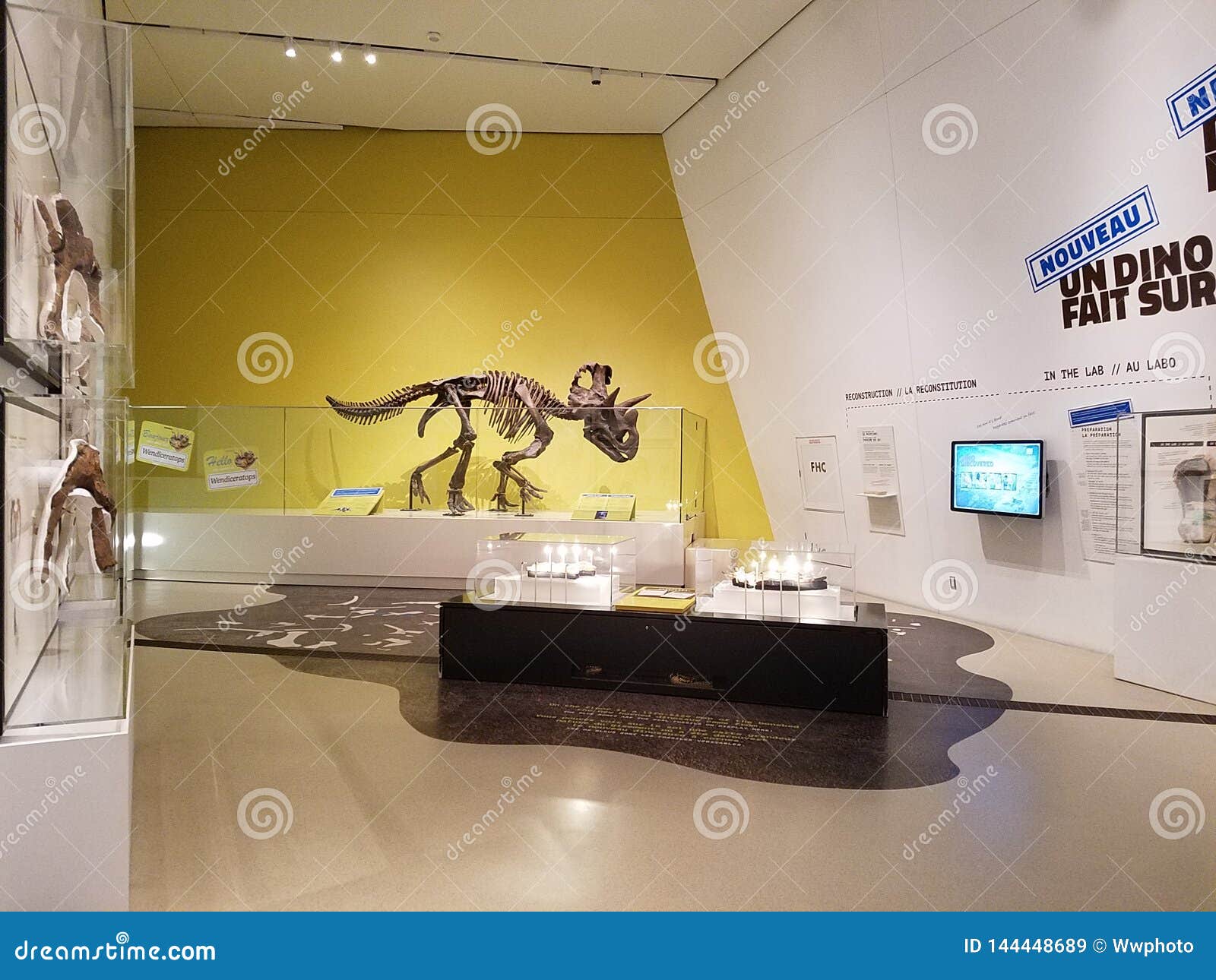 Dinosaur Skeleton in Museum Editorial Stock Image - Image of landmark ...
