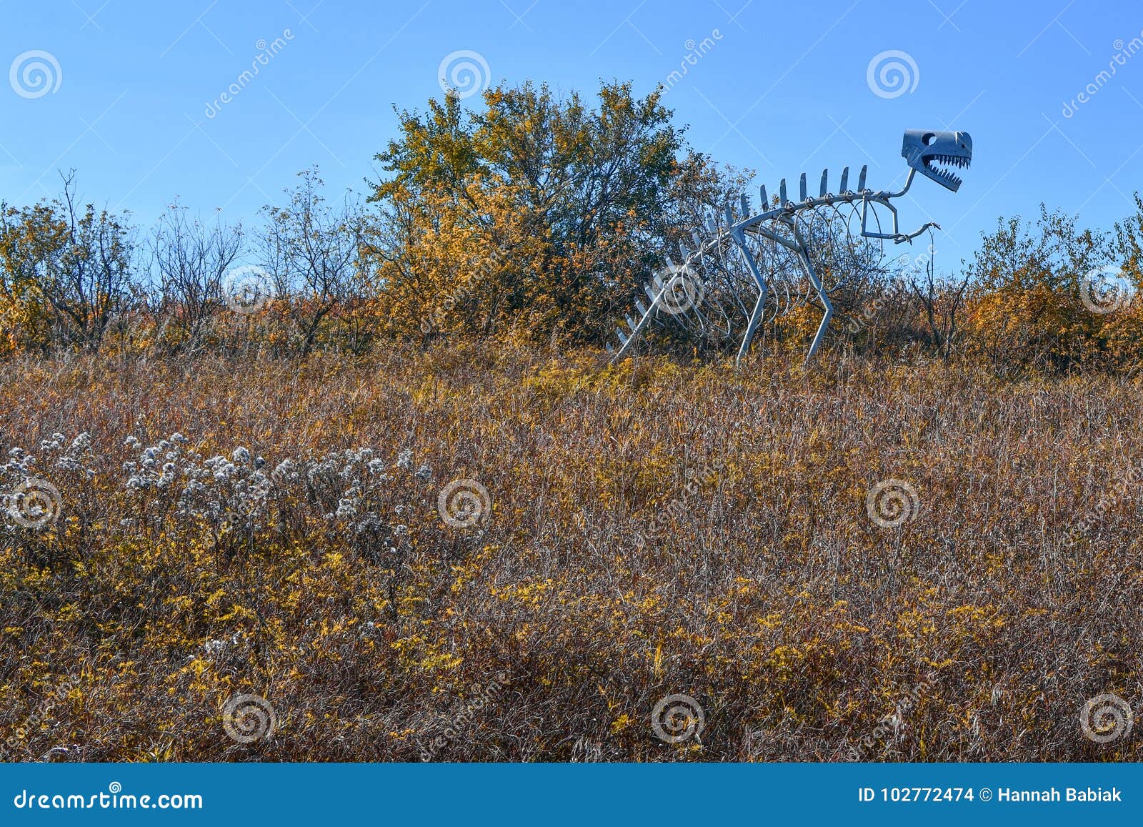 Dinosaur Skeleton Sculpture in Field Stock Photo - Image of field ...