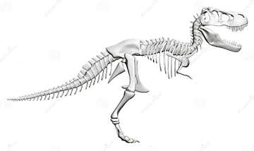 Dinosaur Skeleton. Side View. 3D. Vector Illustration Stock Vector ...