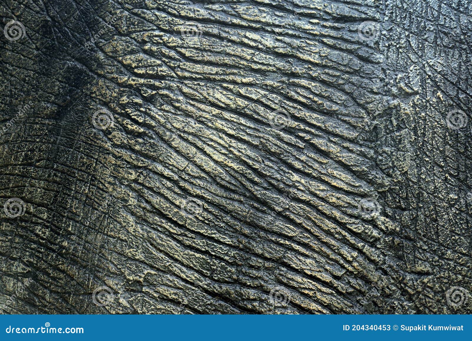 Dinosaur Skin Texture