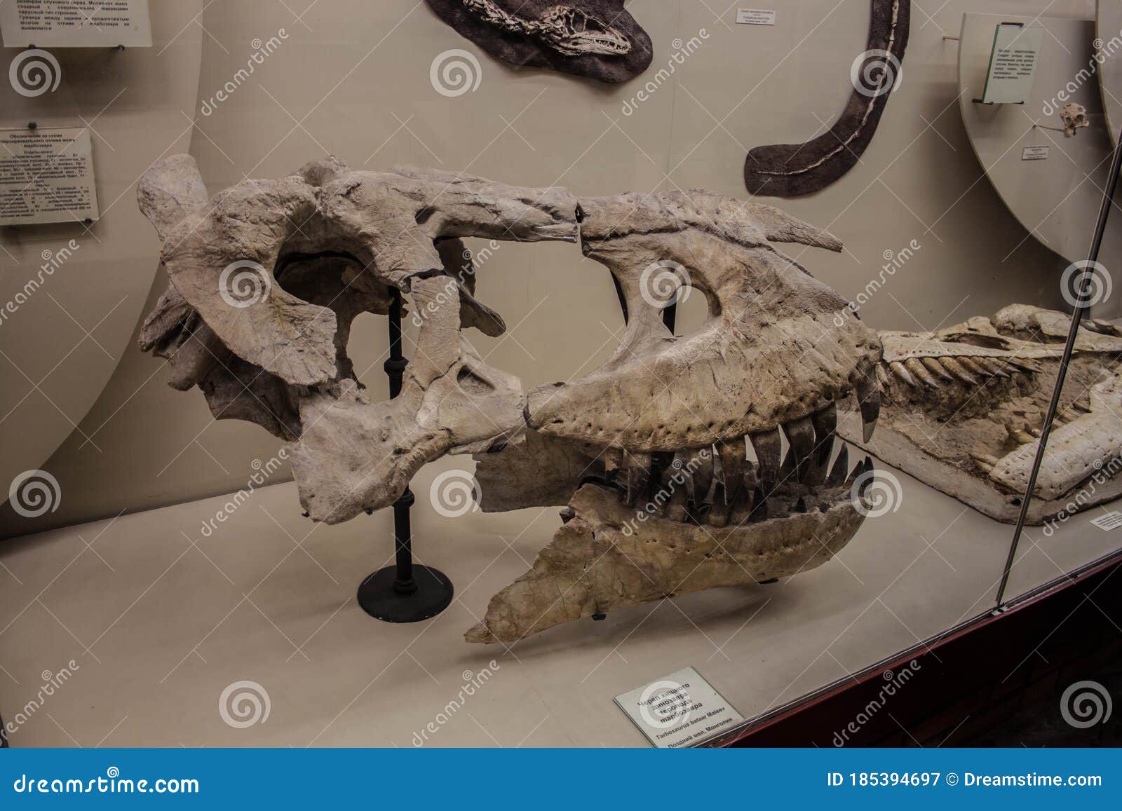 Gray Dinosaur Editorial Photo | CartoonDealer.com #99094567